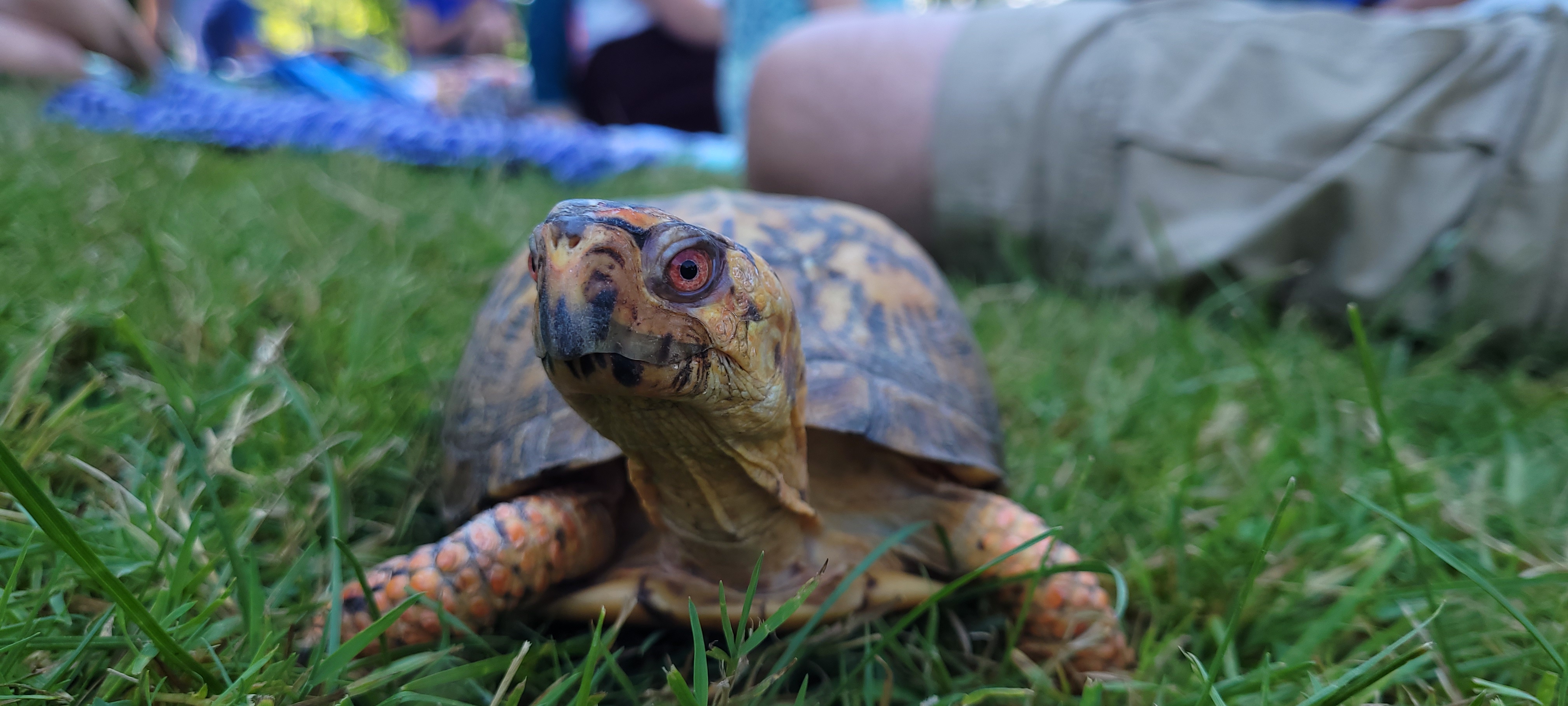Sat. July 22nd: Lake Mansfield Family Adventure Program! 9:30 am ...