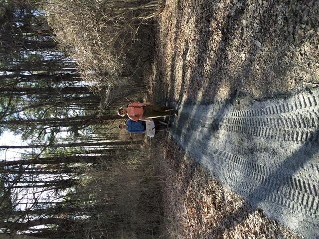 2019 - Trails Improved at Lake Mansfield. | Great Barrington Land ...