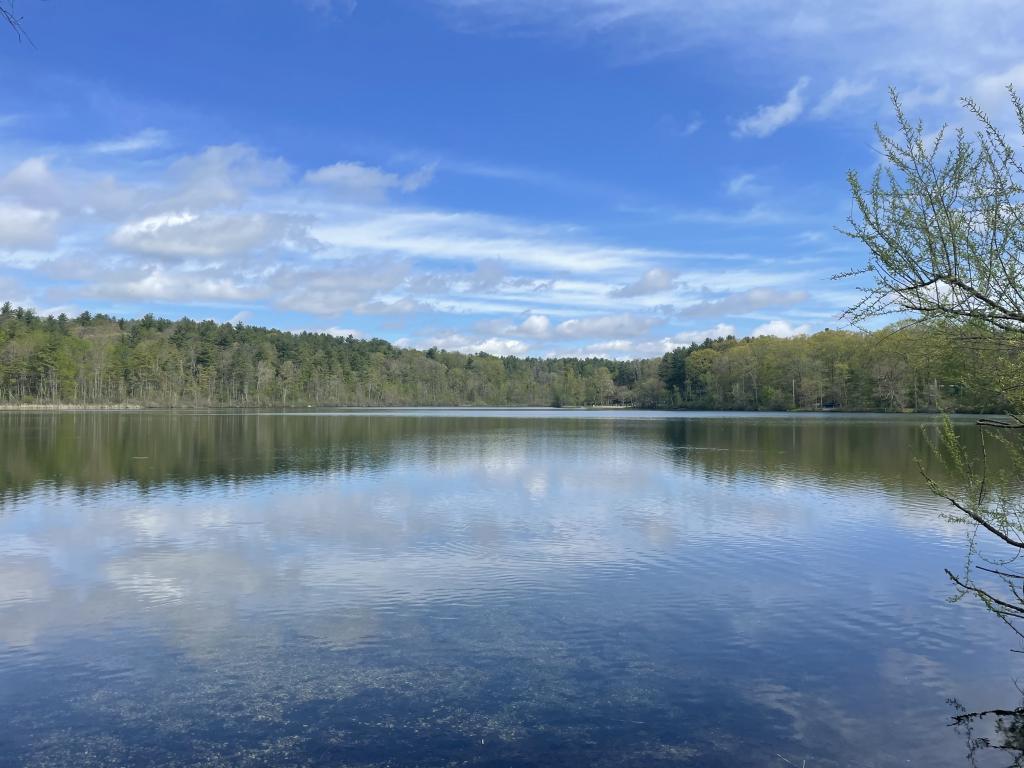 May 2022 Lake Mansfield Beach Area Volunteers in Action | Great ...